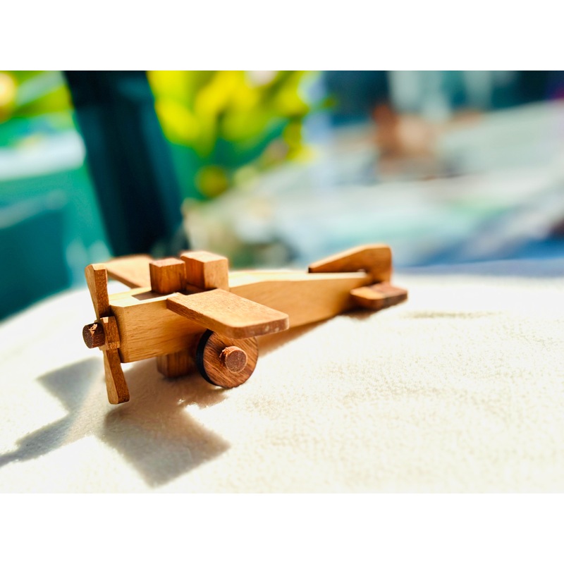 Buy plane brainteaser Puzzle - 3D Interlocking wooden puzzle - MyDeal