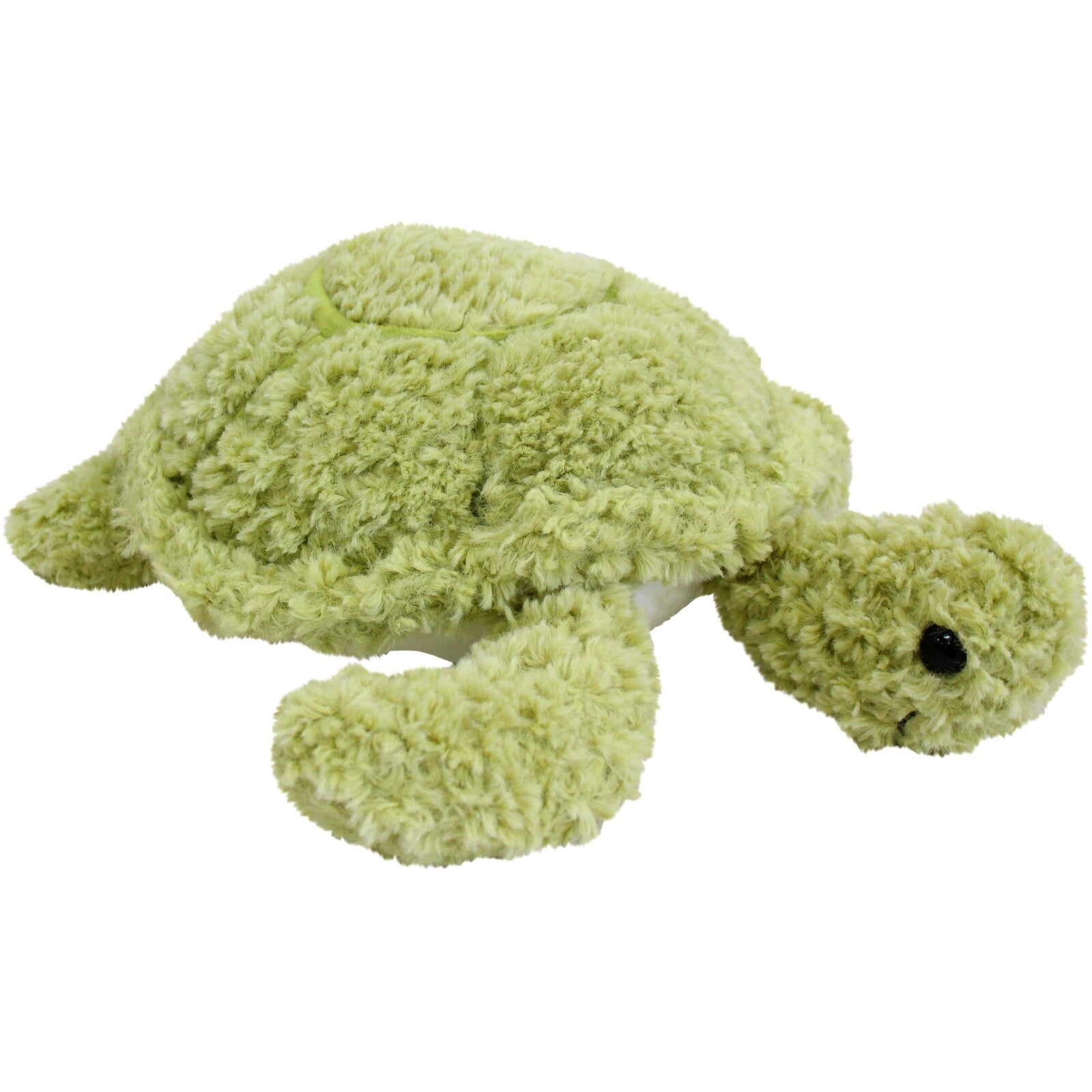 Buy Tilly the Turtle Plush Toy - MyDeal Australia