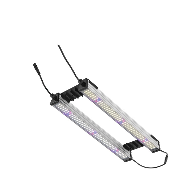 Buy Mojo Cow PS1 Twin Bar Propagation LED Light - 2 x 26W - Dynamic ...