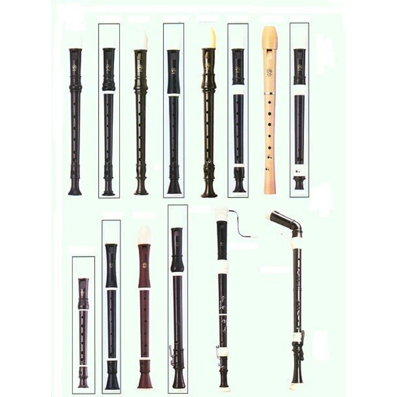 Buy Angel A221 Soprano Recorder 2 Piece C Plastic Dark Brown W/Bg - MyDeal