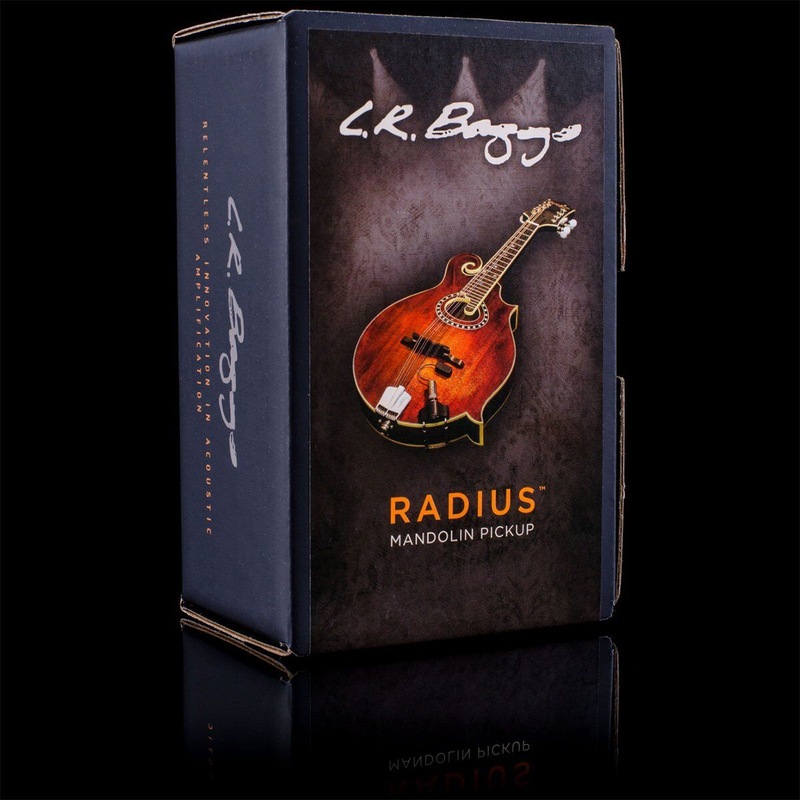 Buy LR Baggs RADM Radius Mandolin Pickup w/ JACK - MyDeal