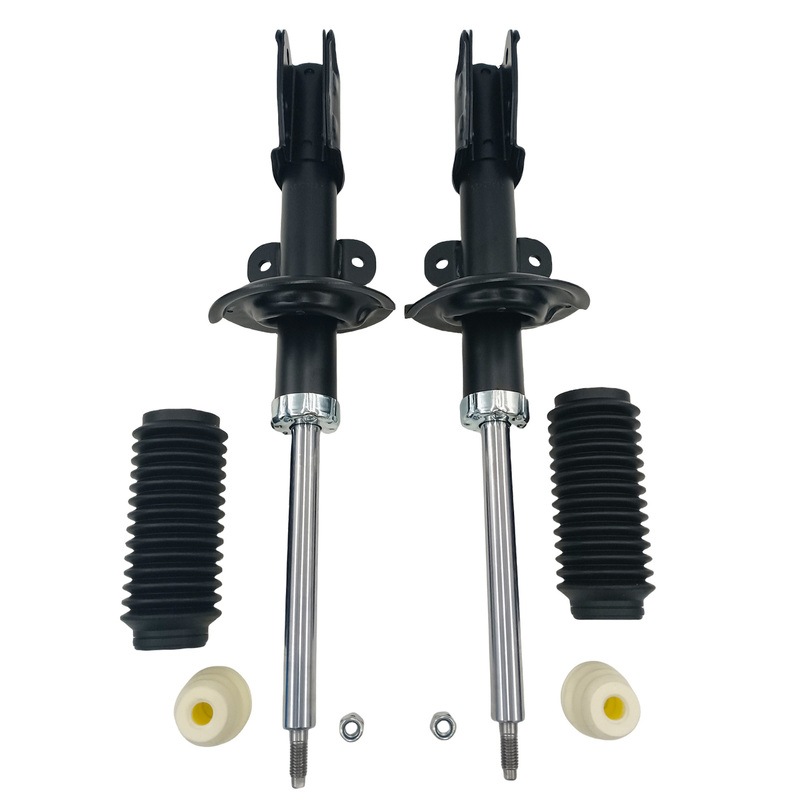 Buy Machter 2 x Front Strut Shock Absorbers Fit For Holden Captiva CG CX LX SX 2006-2019 ...