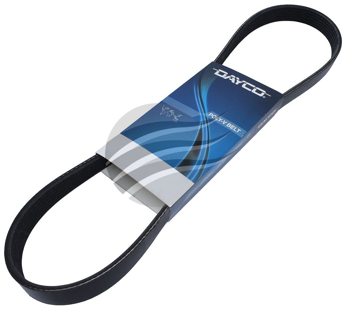 Buy Dayco Poly-V Belt Elastic for Mercedes Benz Sprinter 10/2006 - 1/ ...