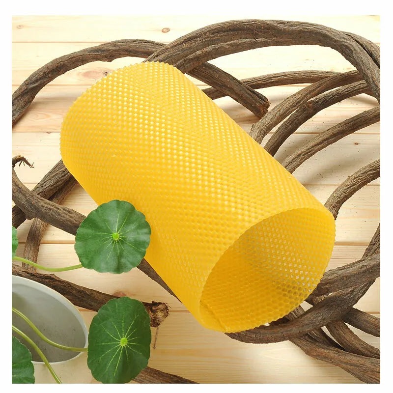 Buy 30Pcs Honeycomb Foundation Bee Hive Wax Frames Waxing Beekeeping ...