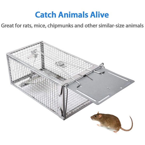 Buy 4X Humane Rat Trap Cage Live Animal Catch Pest Rodent Mouse Bait ...