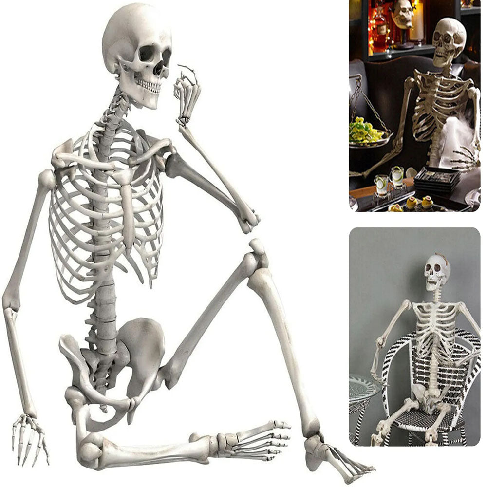 Buy Halloween Poseable Skeleton Full Life Size Human Skeleton ...