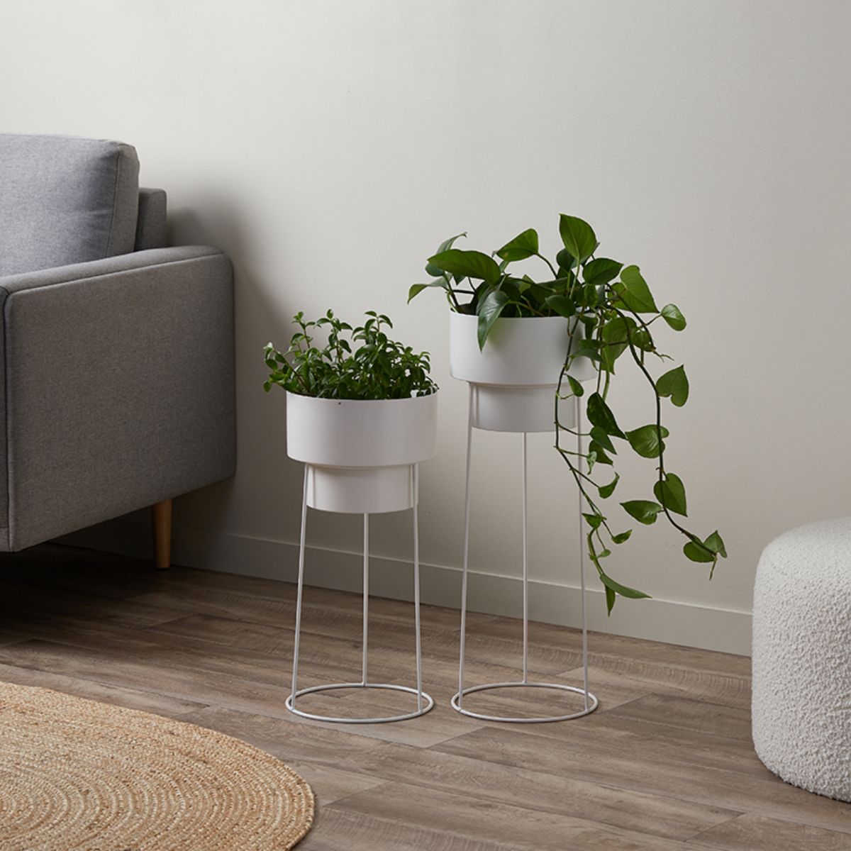 Buy Constance Metal Plant Stand - White - Tall - MyDeal Australia