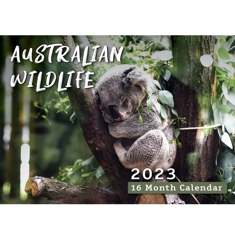 Buy Australian Wildlife - 2023 Rectangle Wall Calendar 16 Months by IG ...