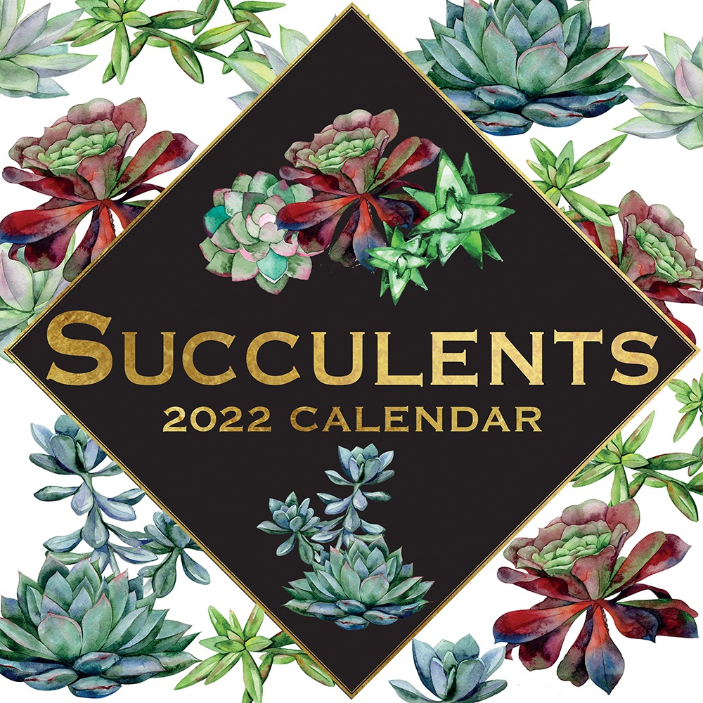 Buy Succulents - 2022 Square Wall Calendar 16 month by Gifted ...