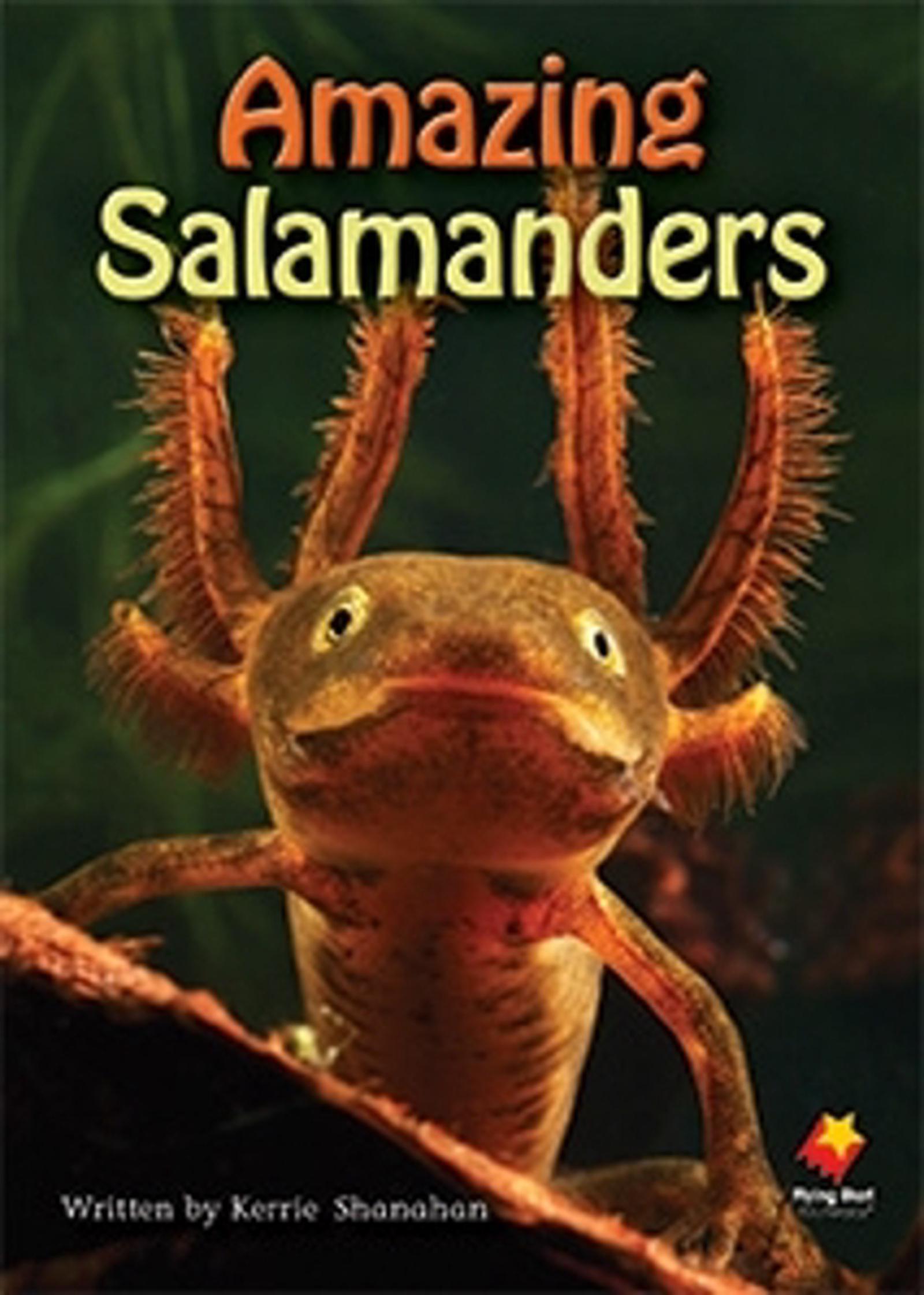 Buy Amazing Salamanders - MyDeal Australia
