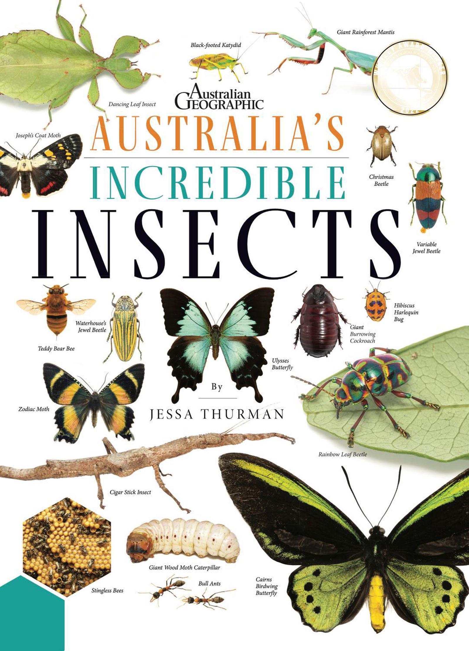 Buy AUS Incredible Insects (HB) - MyDeal Australia