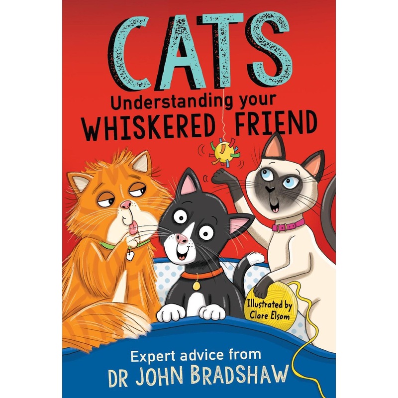 Buy Cats: Understanding Your Whiskered Friend - MyDeal