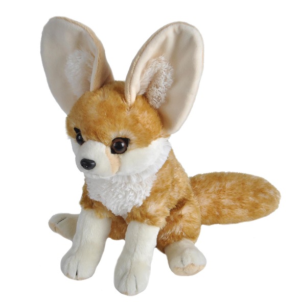 Buy Cuddlekins Fennec Fox Plush Toy - MyDeal Australia