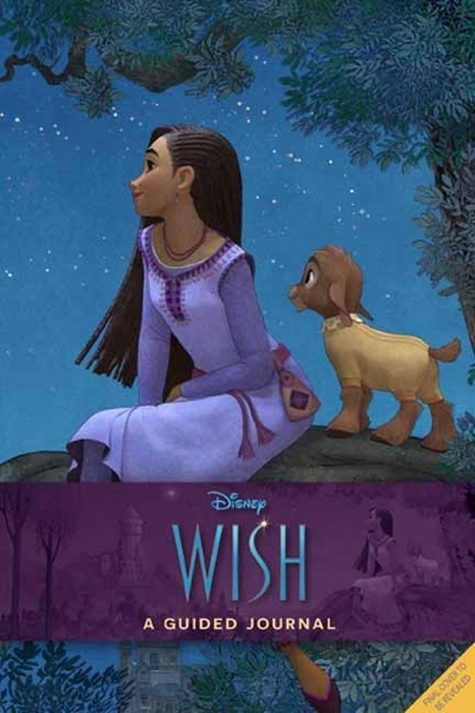 Buy Disney Wish: A Guided Wishing Journal - MyDeal Australia