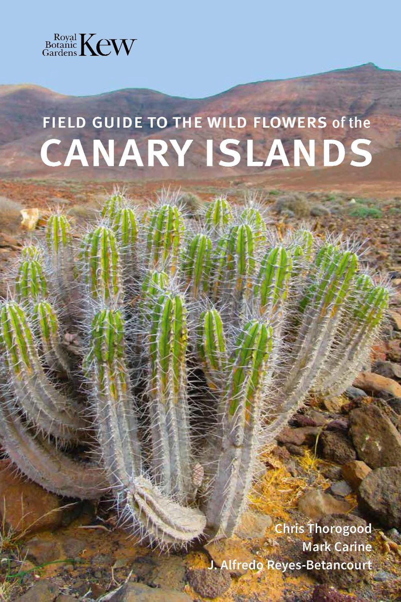 Buy Field Guide to the Wild Flowers of the Canary Islands - MyDeal ...