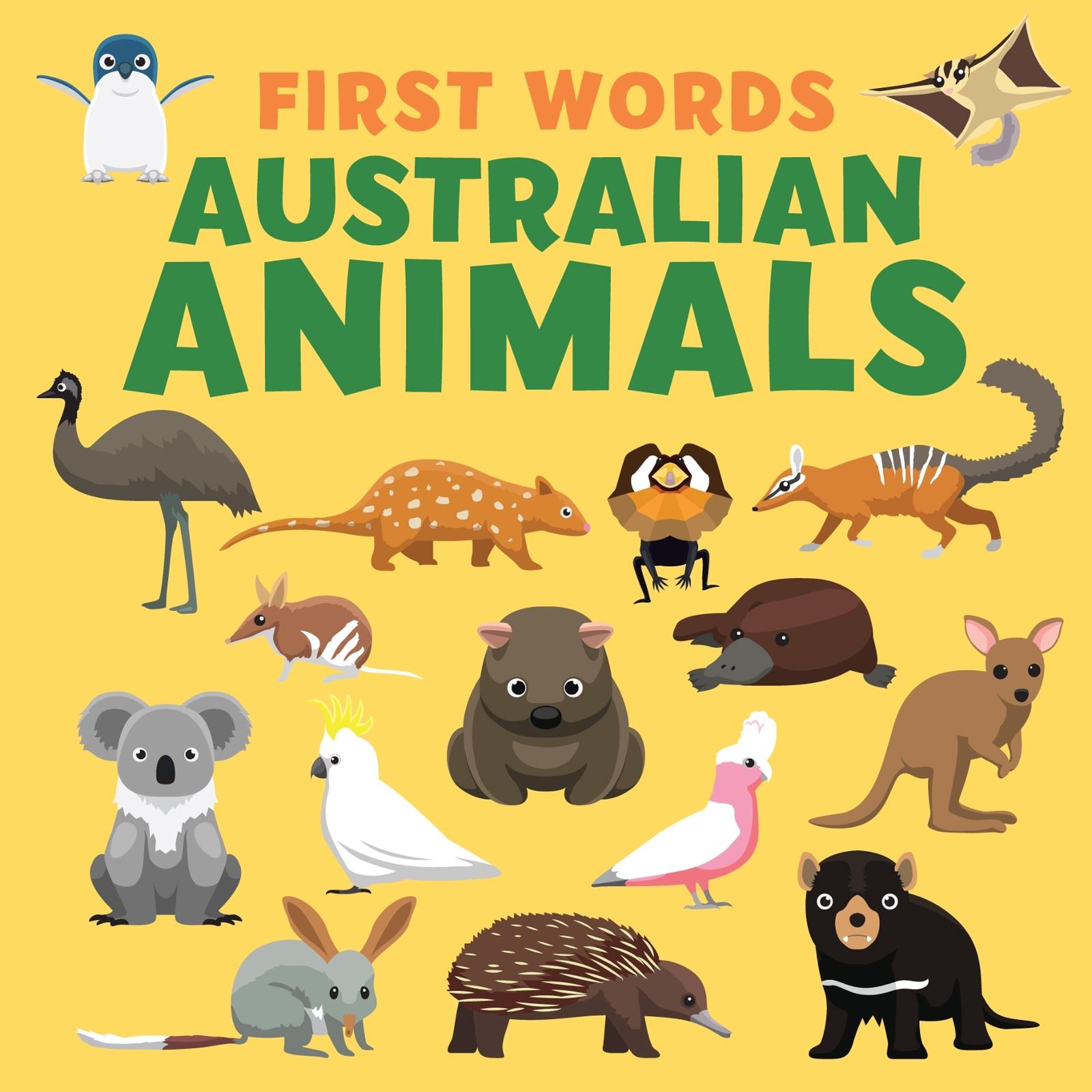 Buy First Words: Australian Animals - MyDeal Australia