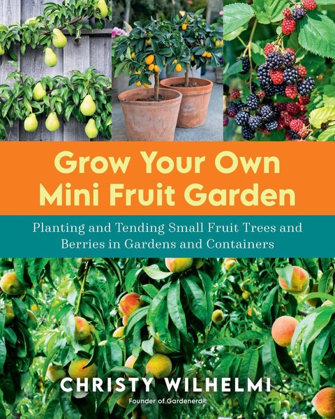 Buy Grow Your Own Mini Fruit Garden - MyDeal Australia