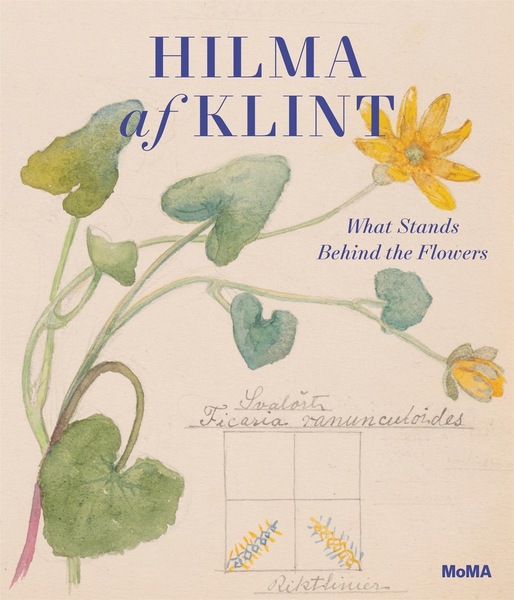 Buy Hilma af Klint - MyDeal Australia
