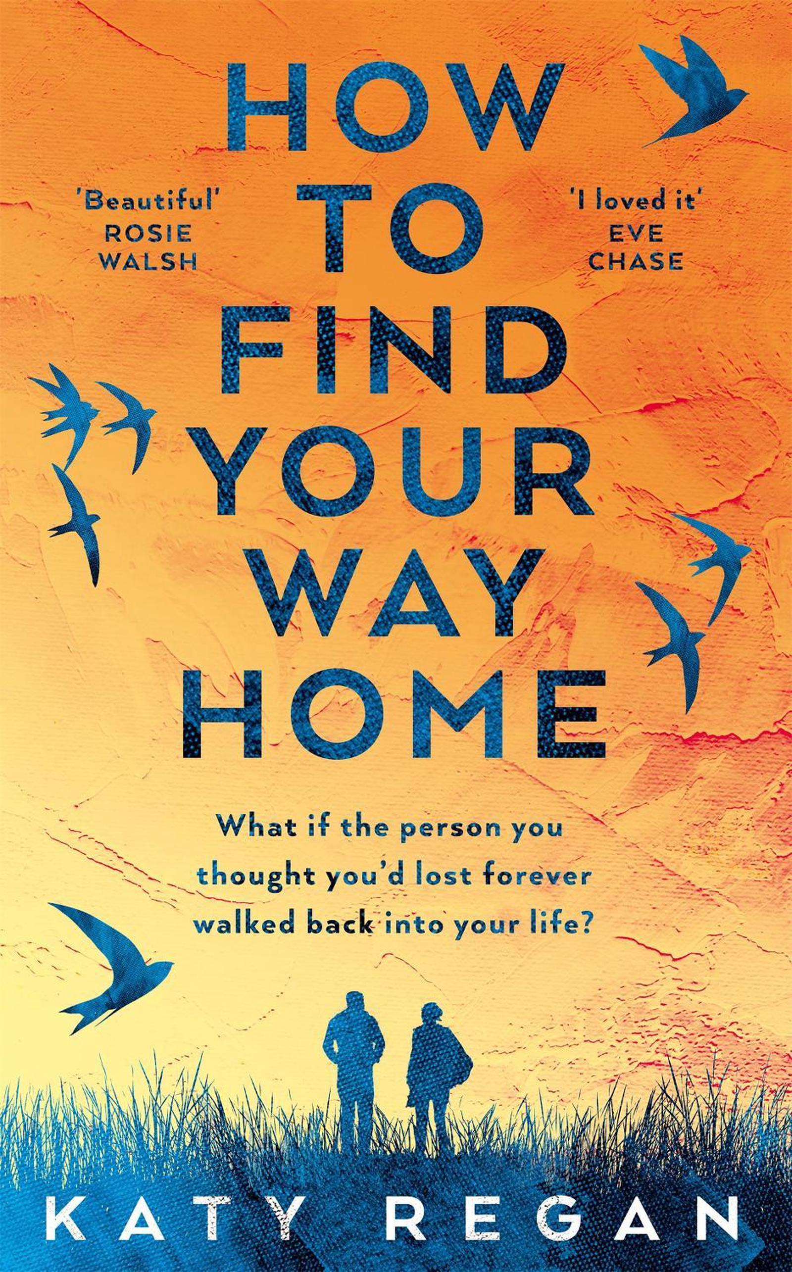 Buy How To Find Your Way Home - MyDeal Australia