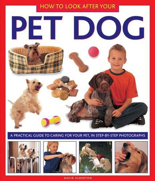 Buy How to Look After Your Pet Dog - MyDeal Australia