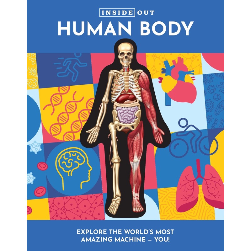Buy Inside Out Human Body - MyDeal