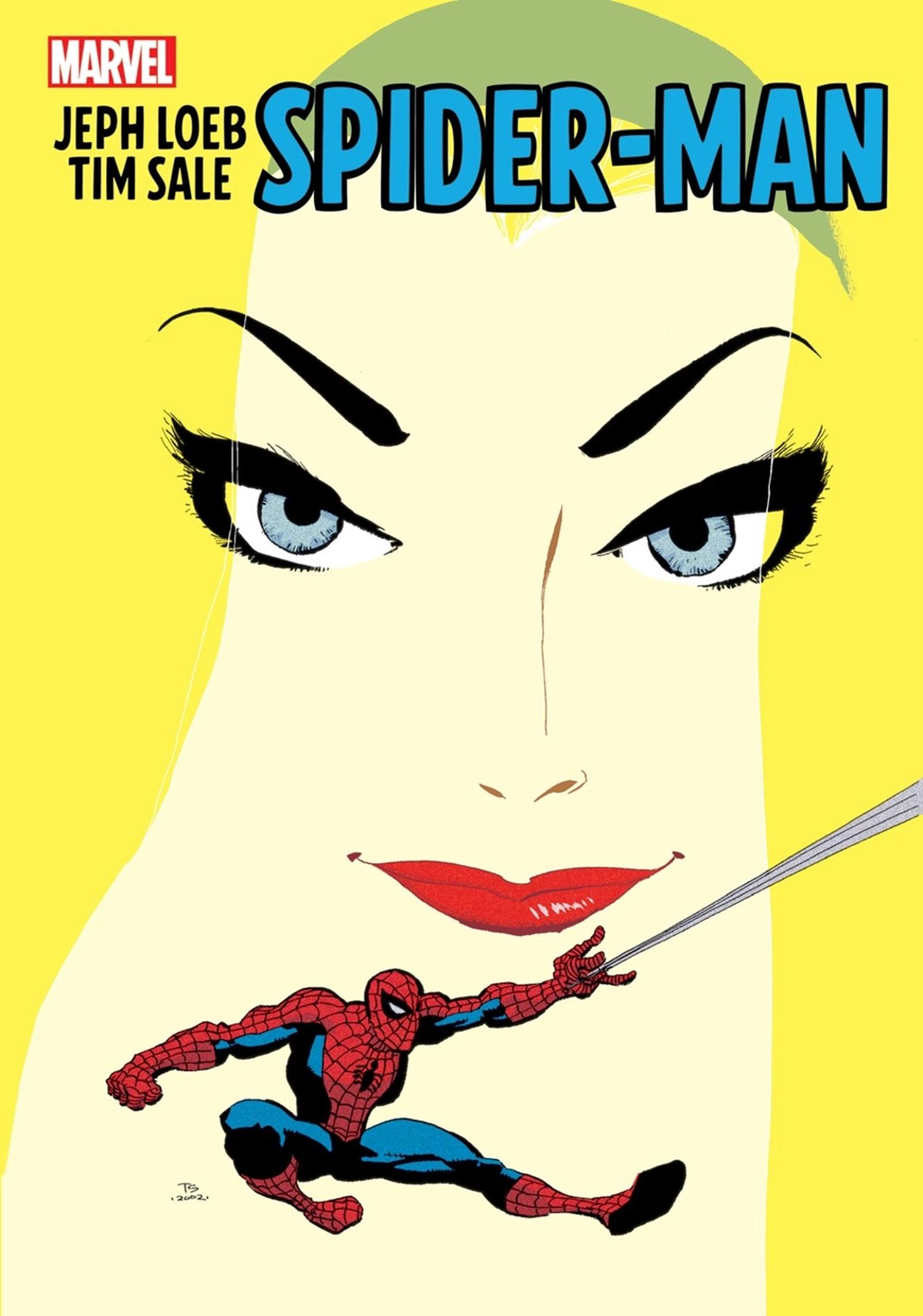 Buy Jeph Loeb & Tim Sale: Spider-Man - MyDeal Australia