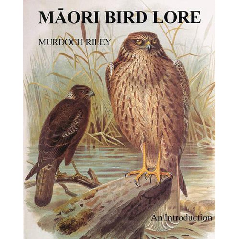 Buy Maori Bird Lore - MyDeal