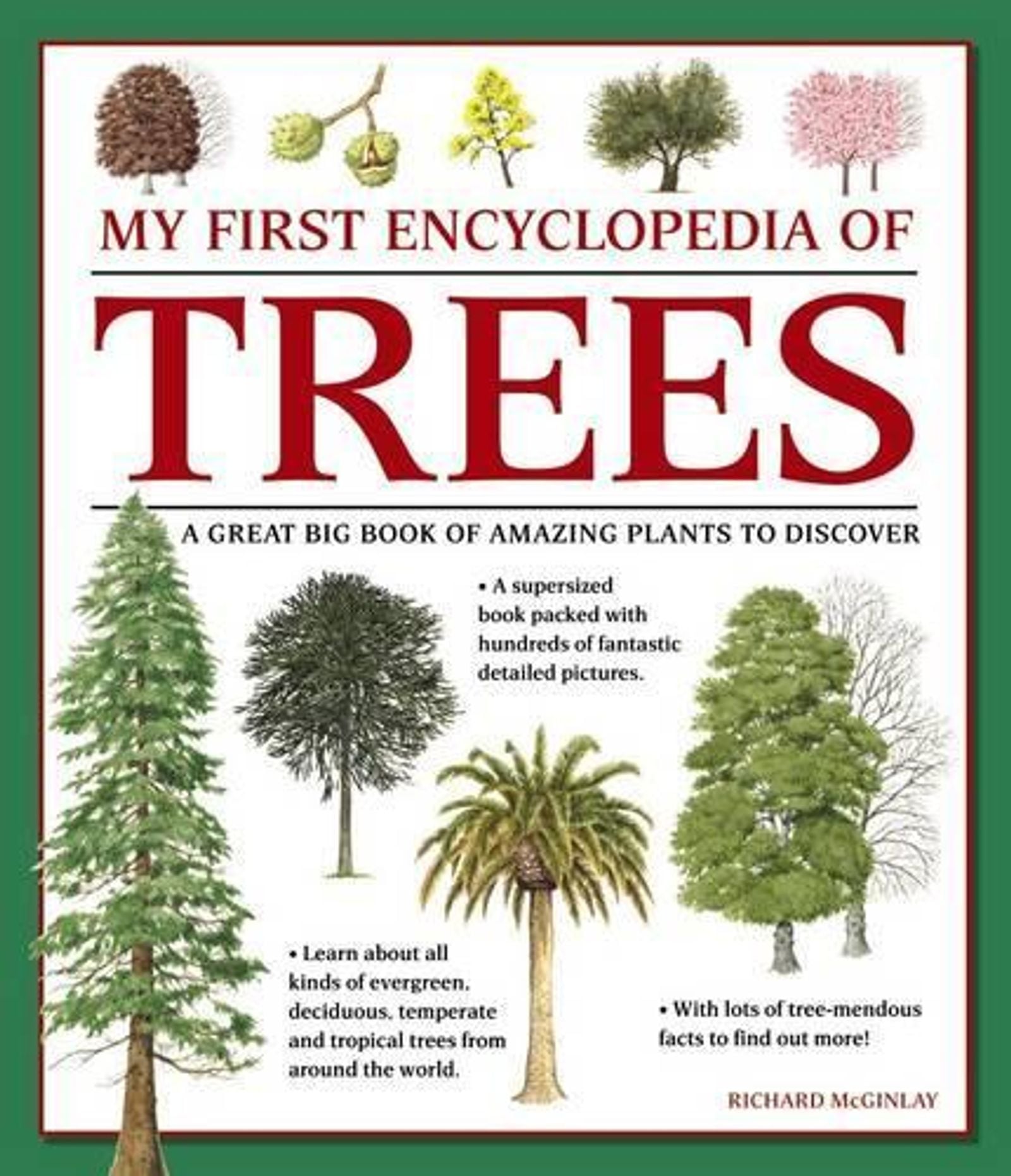 Buy My First Encyclopedia of Trees (giant Size) - MyDeal Australia