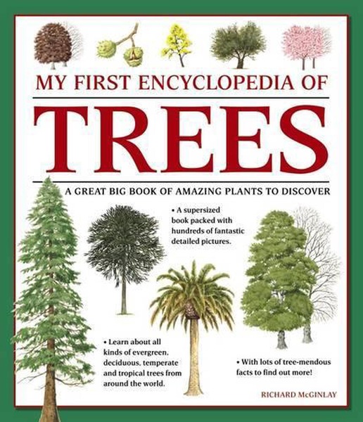 Buy My First Encyclopedia of Trees (giant Size) - MyDeal Australia