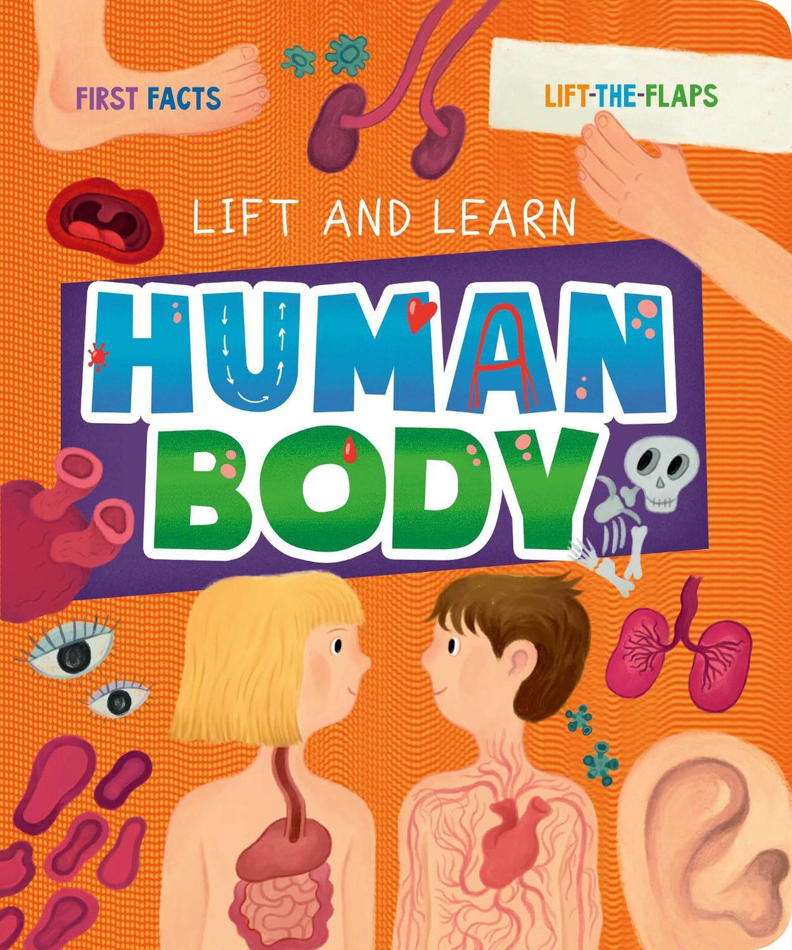 Buy My First Lift-the-Flap: Human Body - MyDeal Australia
