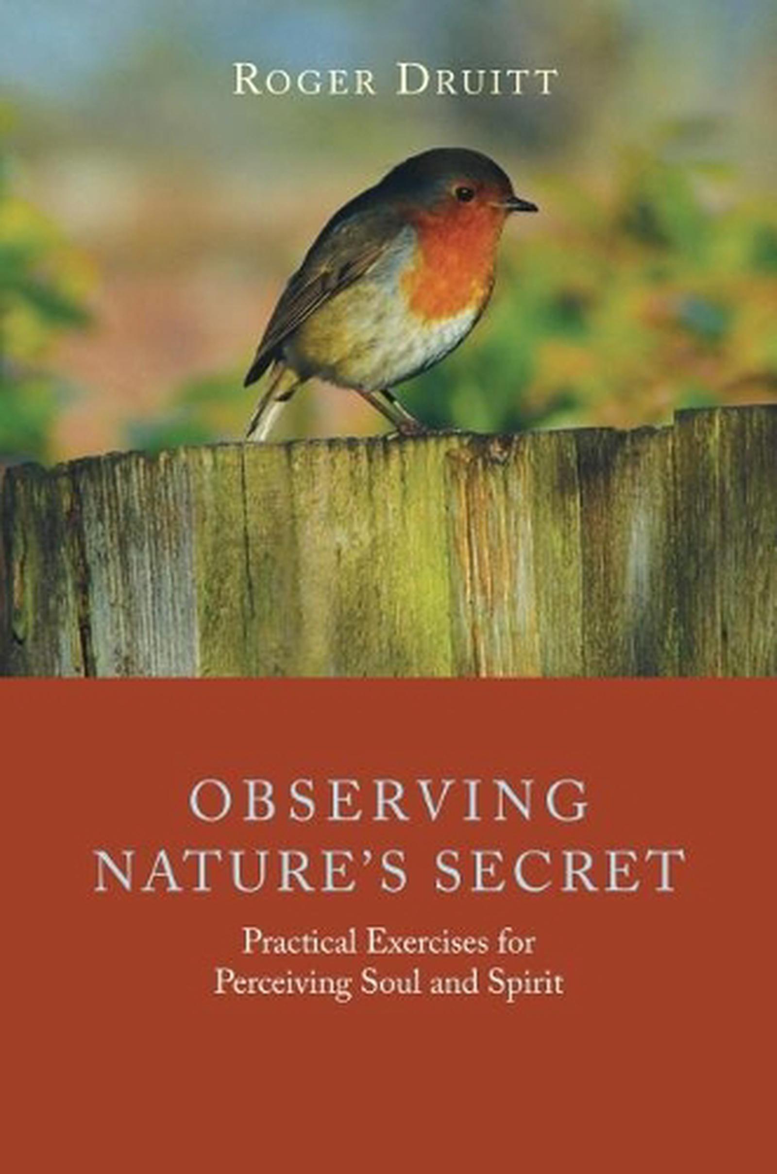 Buy Observing Nature's Secret - MyDeal Australia