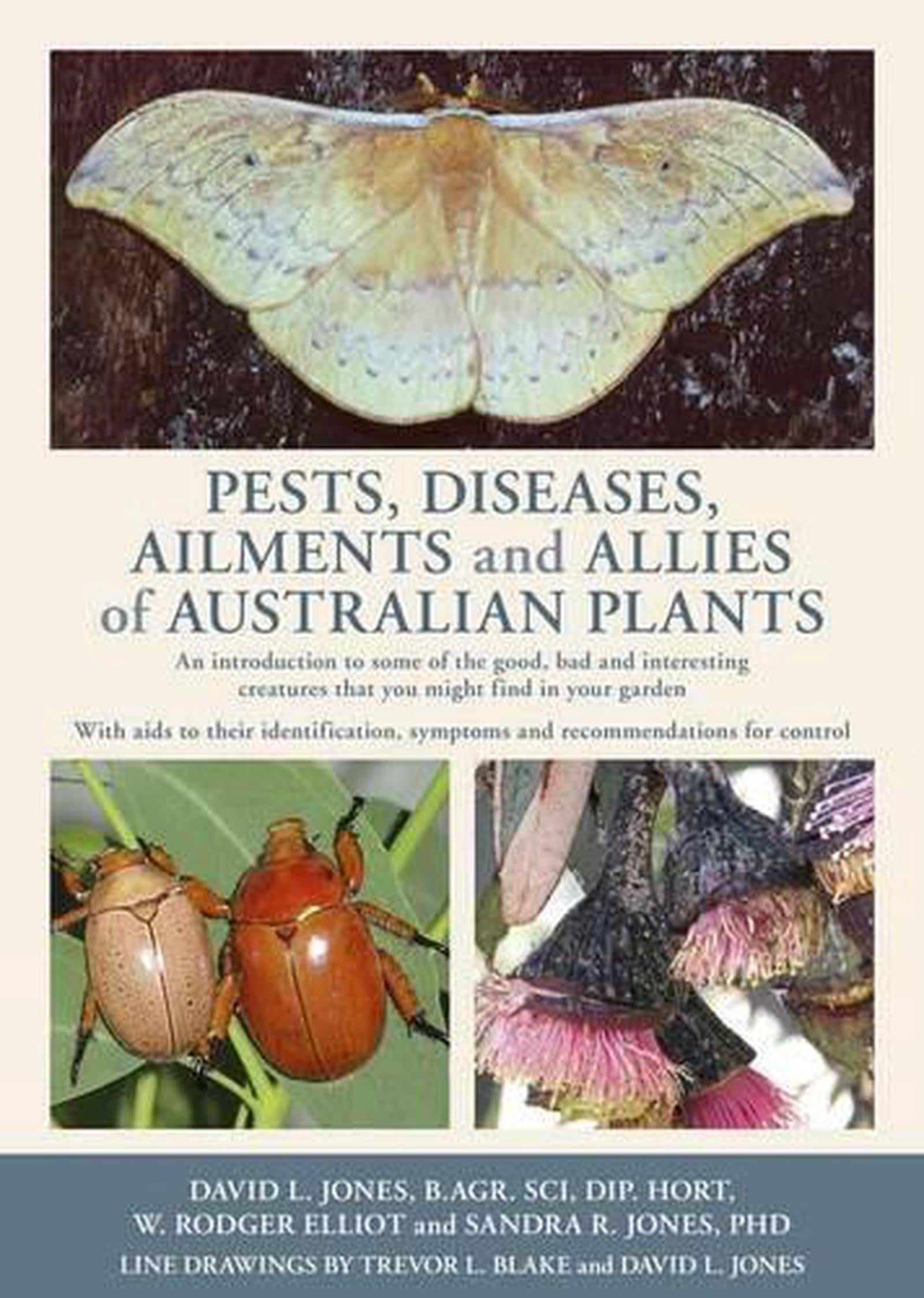 Buy Pests, Diseases, Ailments and Allies of Australian Plants - MyDeal ...