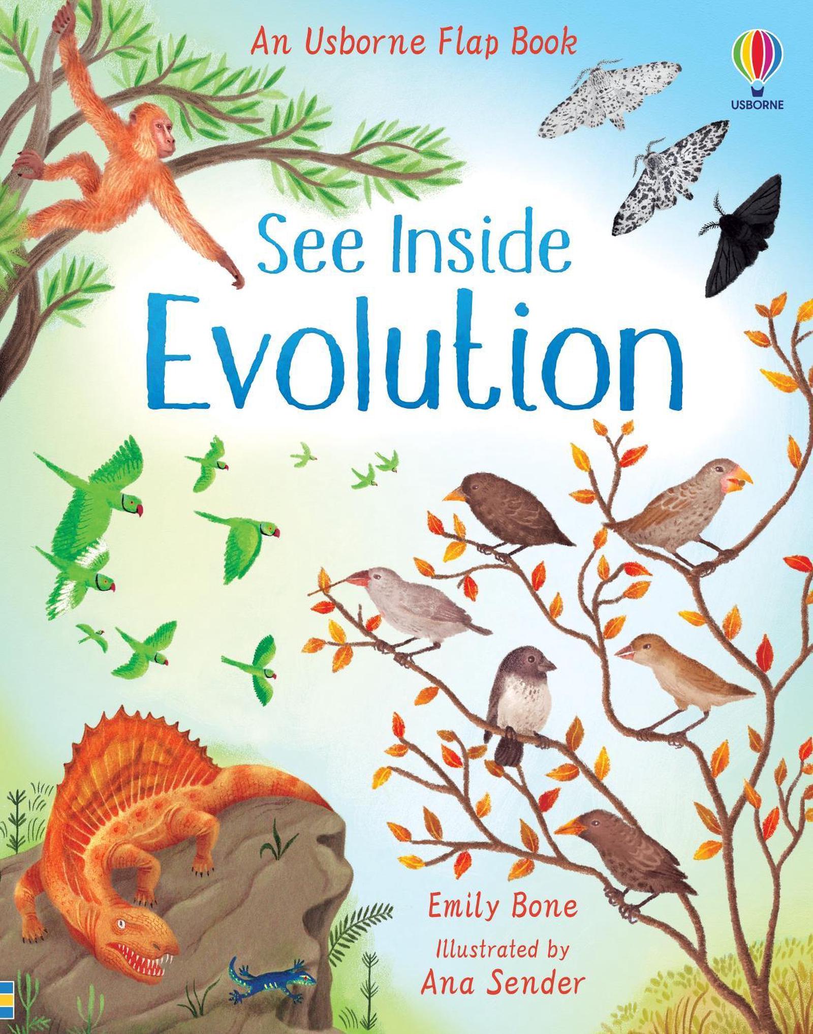Buy See Inside Evolution - MyDeal Australia