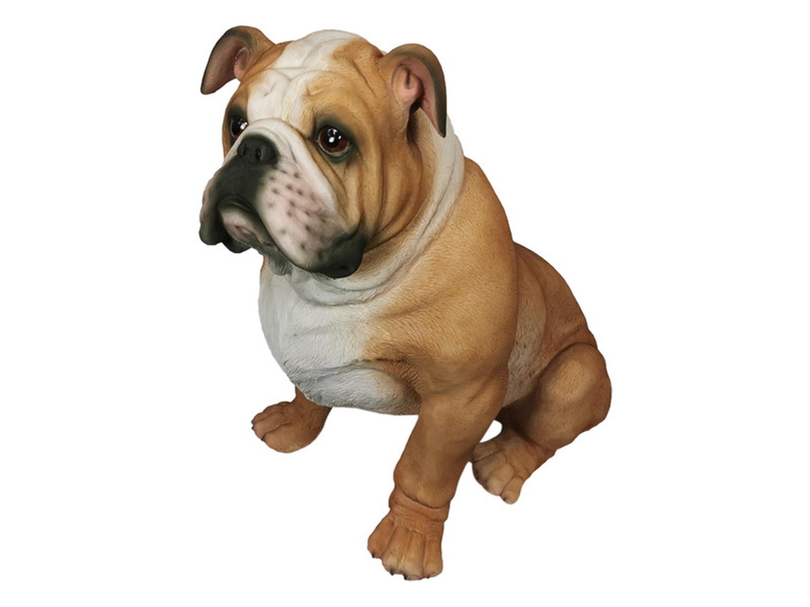 Buy Sitting Realistic Bulldog Figurine - 51cm - MyDeal Australia