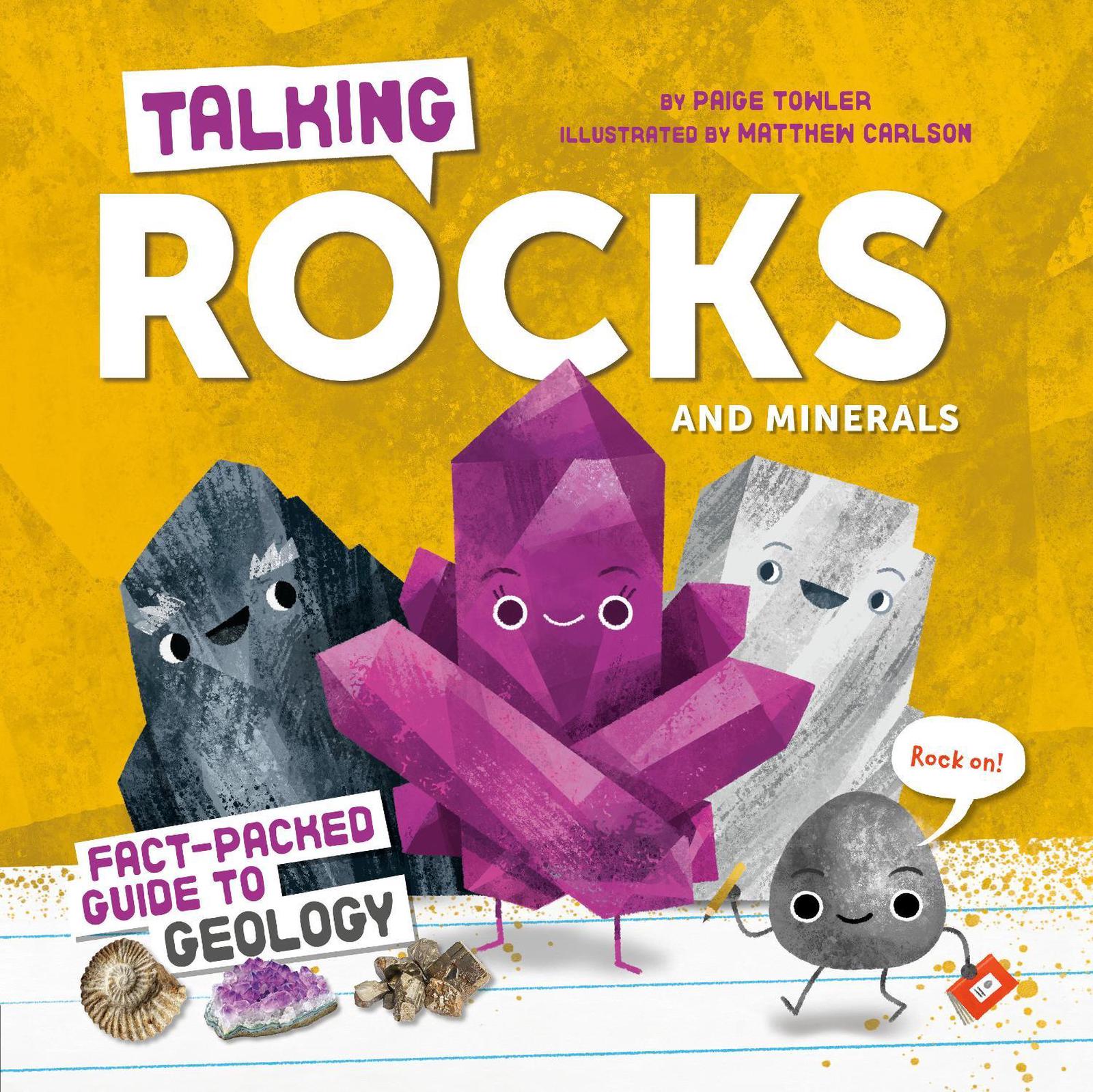 Buy Talking Rocks and Minerals: Fact-Packed Guide to Geology - MyDeal ...