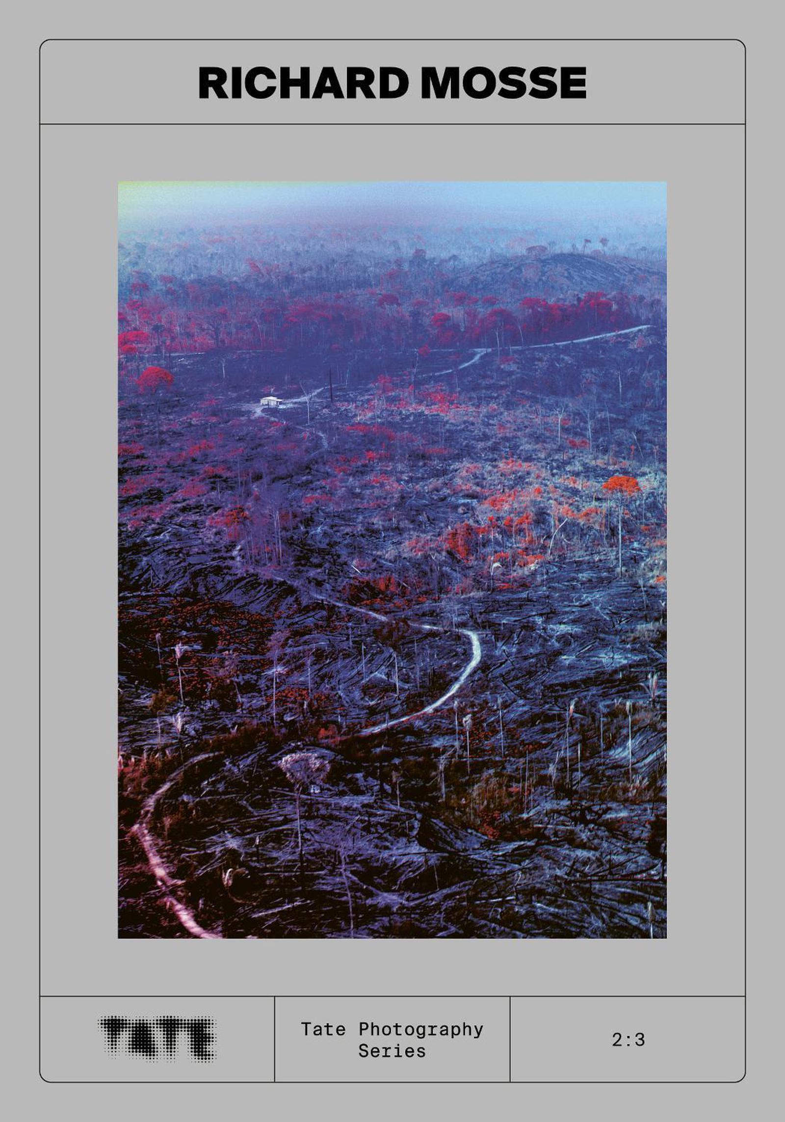 Buy Tate Photography: Richard Mosse - MyDeal Australia