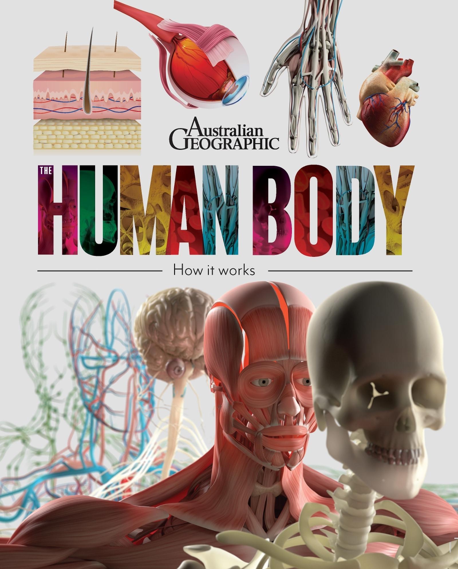 Buy The Human Body - MyDeal Australia