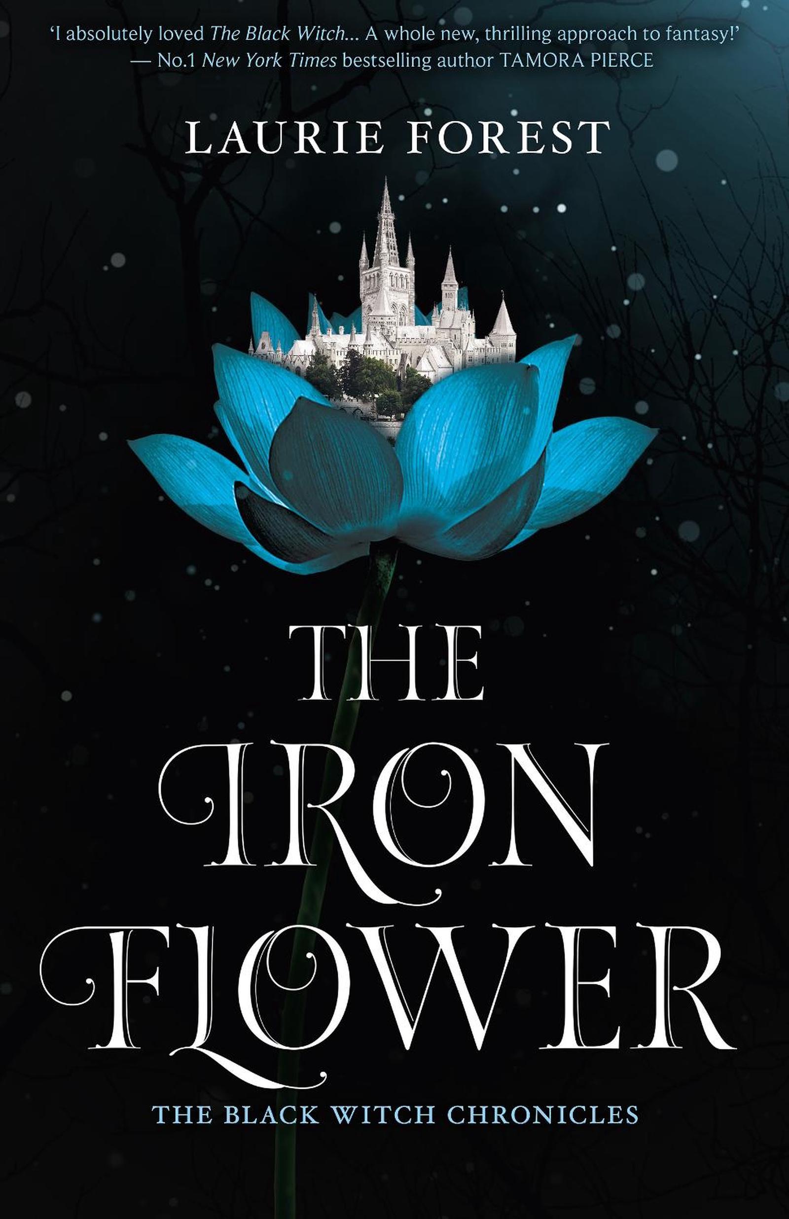 Buy The Iron Flower - MyDeal Australia