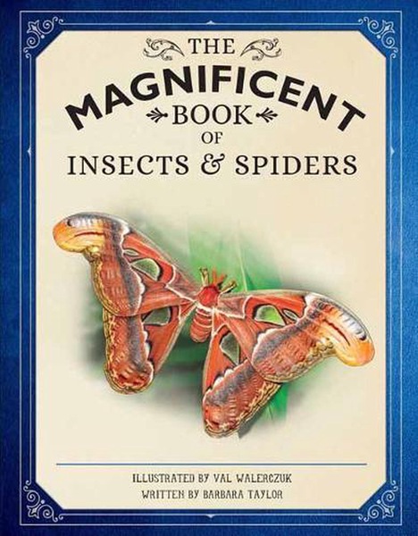 Buy The Magnificent Book of Insects and Spiders - MyDeal Australia