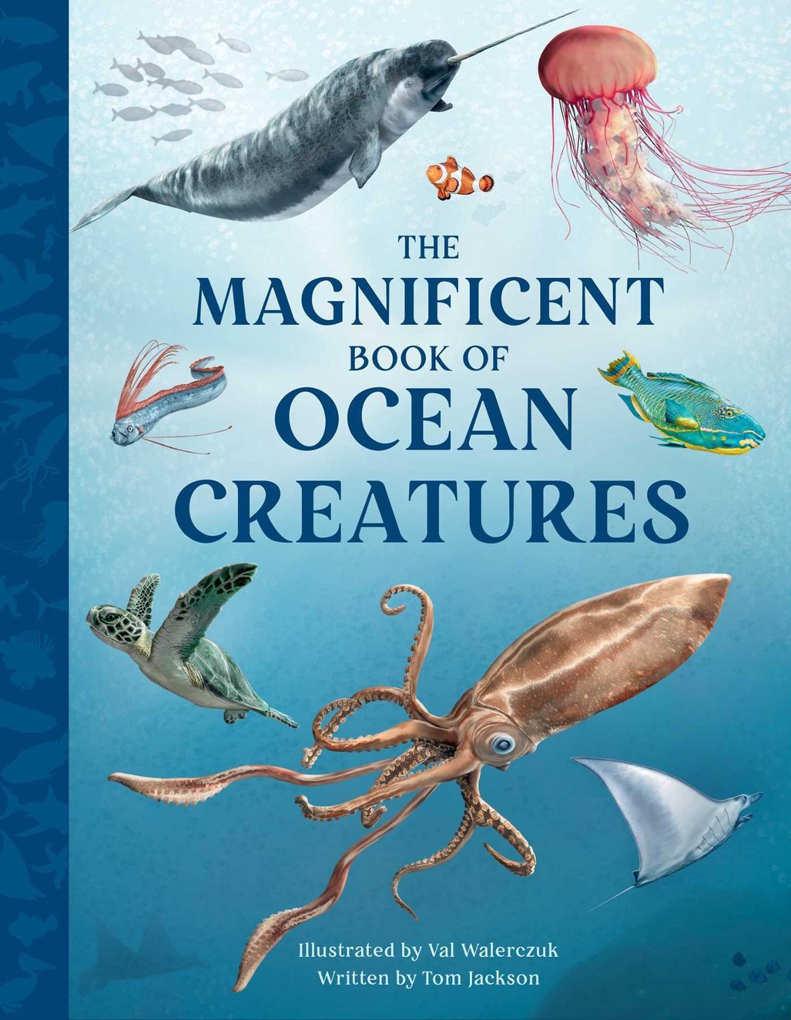 Buy The Magnificent Book of Ocean Creatures - MyDeal Australia