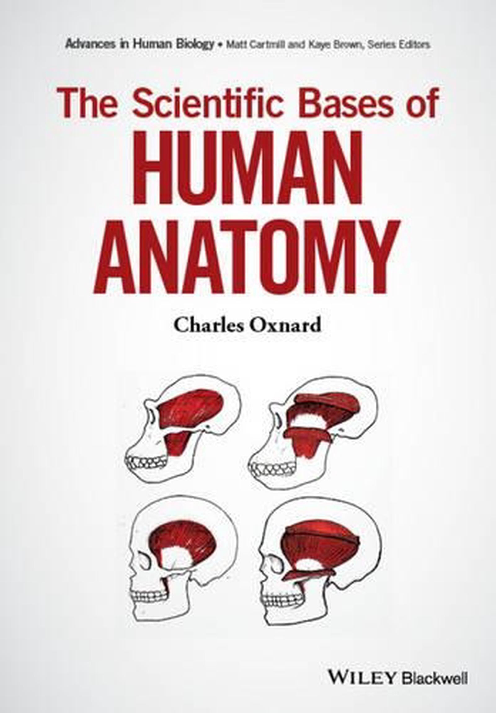 Buy The Scientific Bases of Human Anatomy - MyDeal Australia