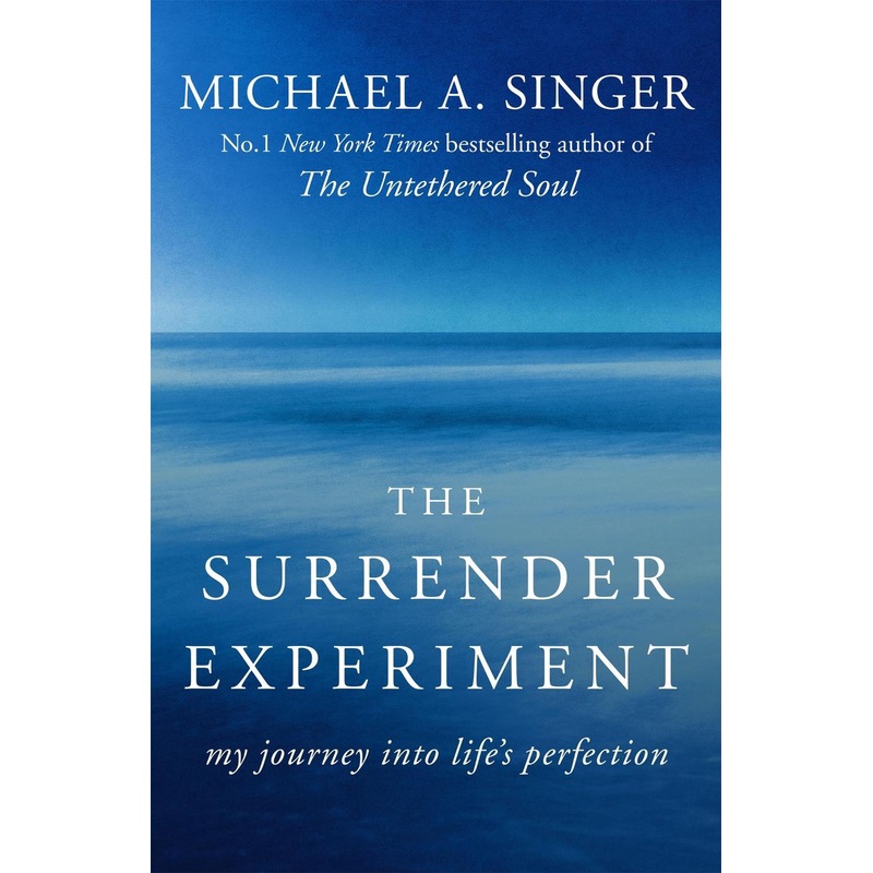 Buy The Surrender Experiment - MyDeal
