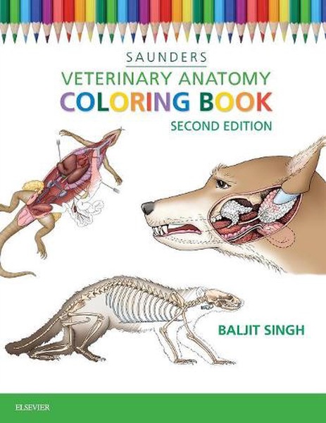 Buy Veterinary Anatomy Coloring Book - MyDeal Australia