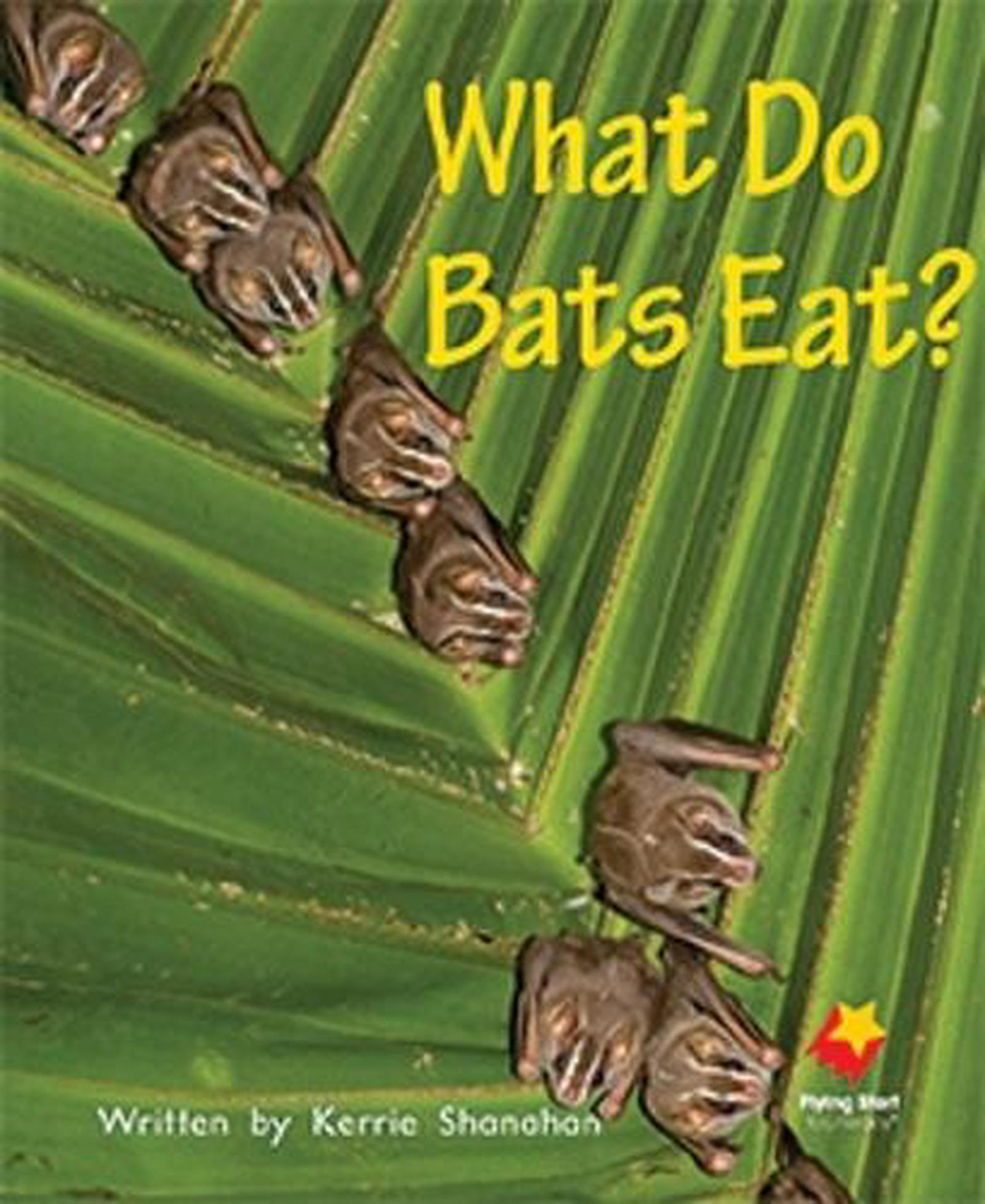 Buy What Do Bats Eat? - MyDeal Australia