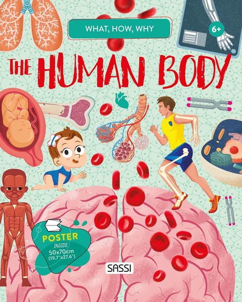 Buy What, How, Why. The Human Body - MyDeal Australia