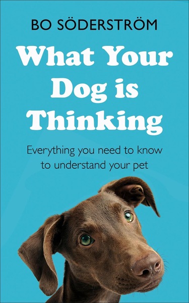 Buy What Your Dog Is Thinking - MyDeal Australia