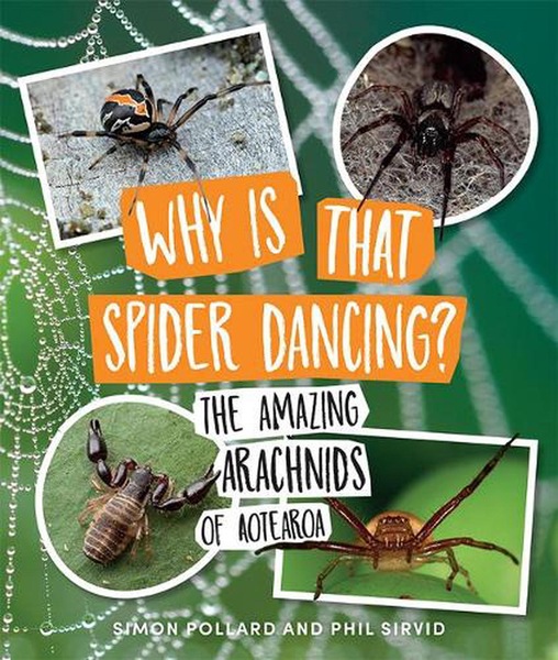 Buy Why Is That Spider Dancing? - MyDeal Australia
