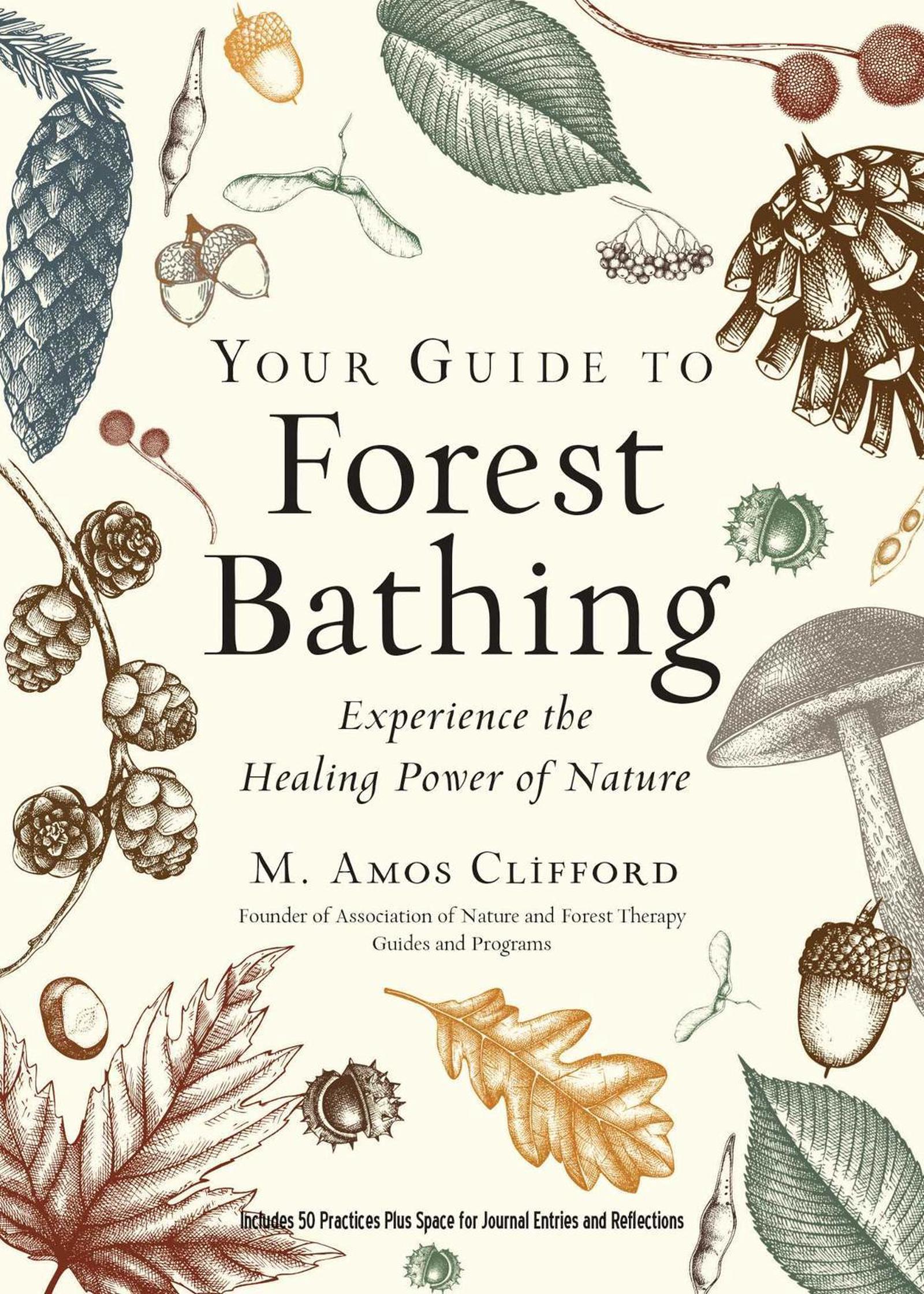 Buy Your Guide to Forest Bathing (Expanded Edition) - MyDeal Australia