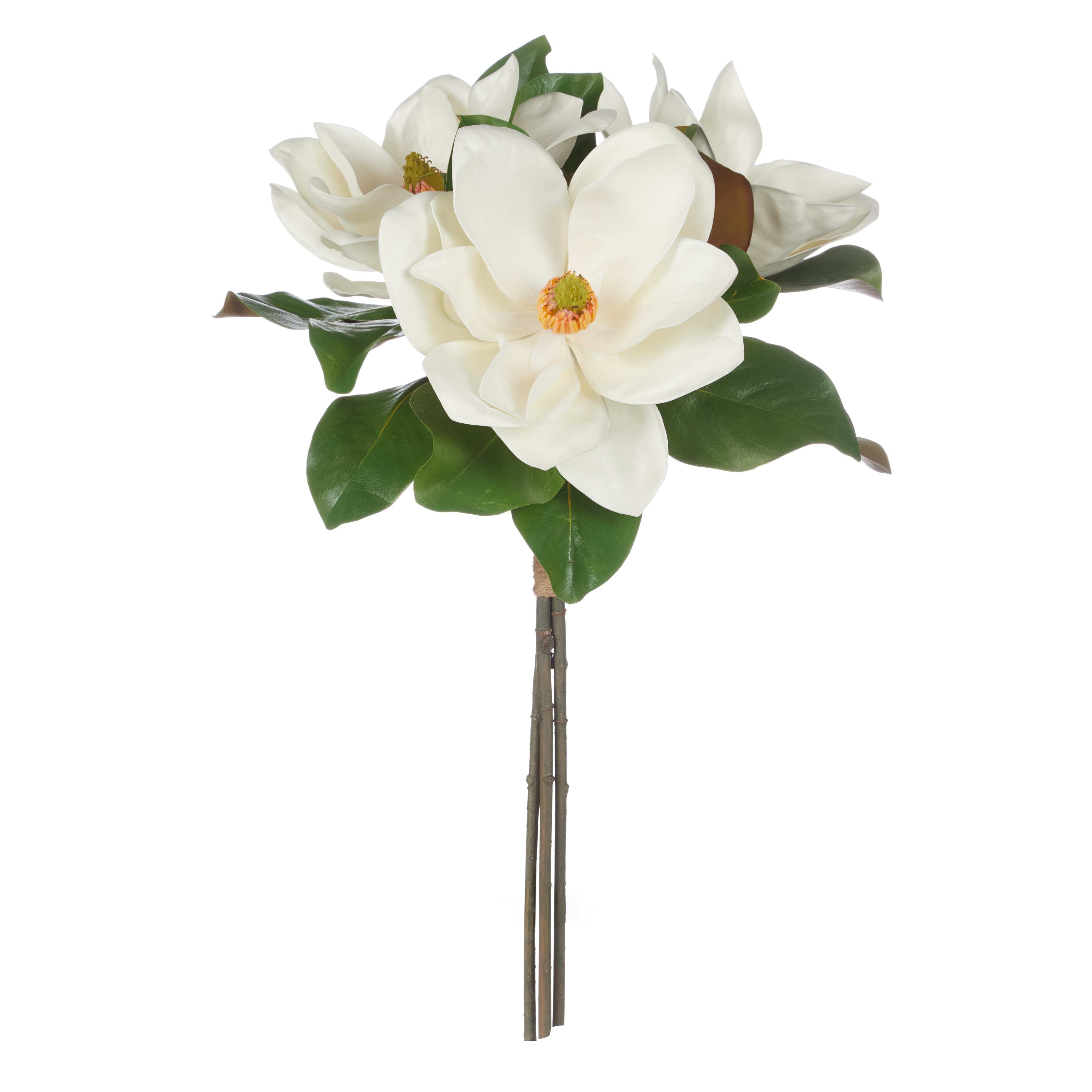 Buy Rogue Magnolia Grandiflora Bunch White & Green 44x44x84cm - MyDeal ...