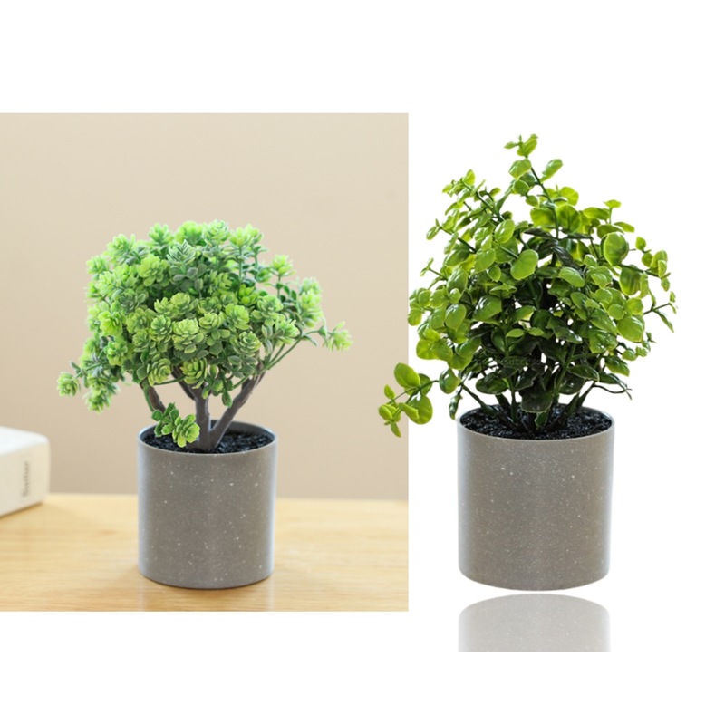 Buy Set 2 Artificial Pot Greenery Assort 14x20cm - MyDeal